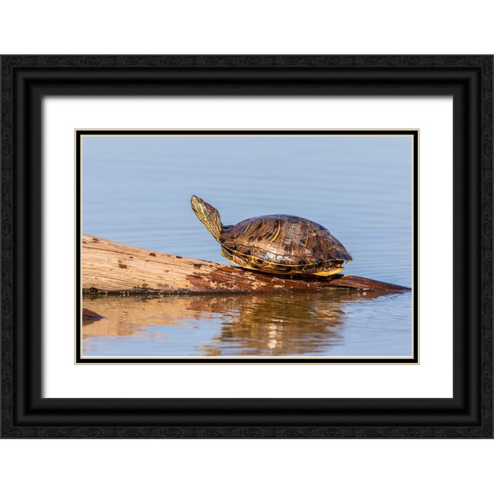 Day, Richard and Susan 14x11 Black Ornate Wood Framed with Double ...