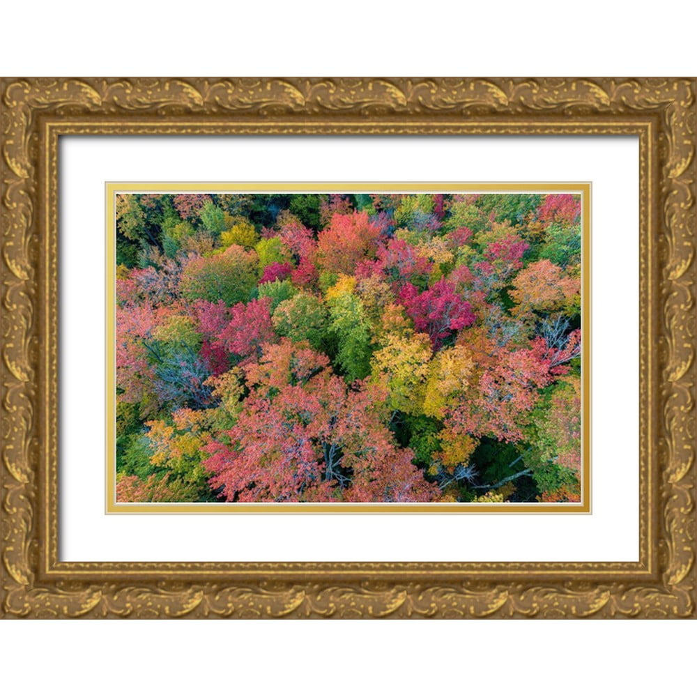 Day, Richard and Susan 14x11 Gold Ornate Wood Framed with Double ...