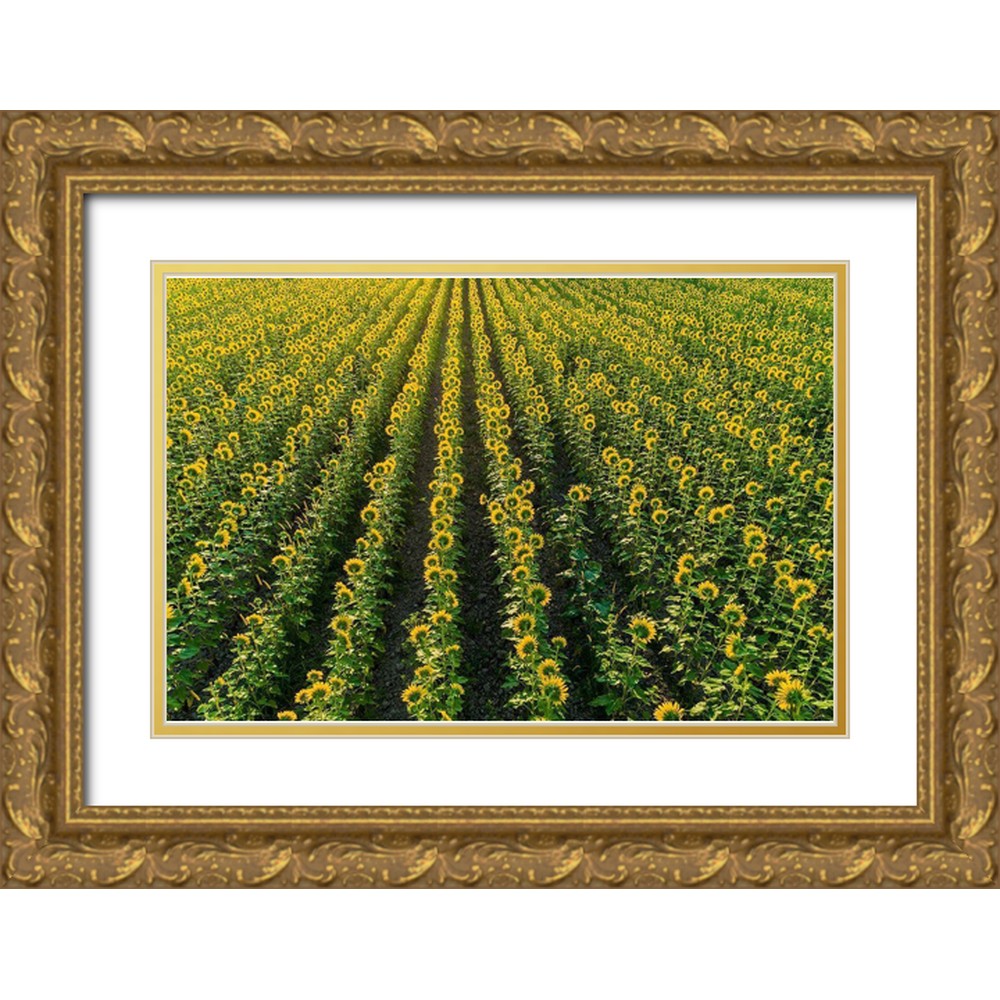 Day, Richard and Susan 14x11 Gold Ornate Wood Framed with Double ...