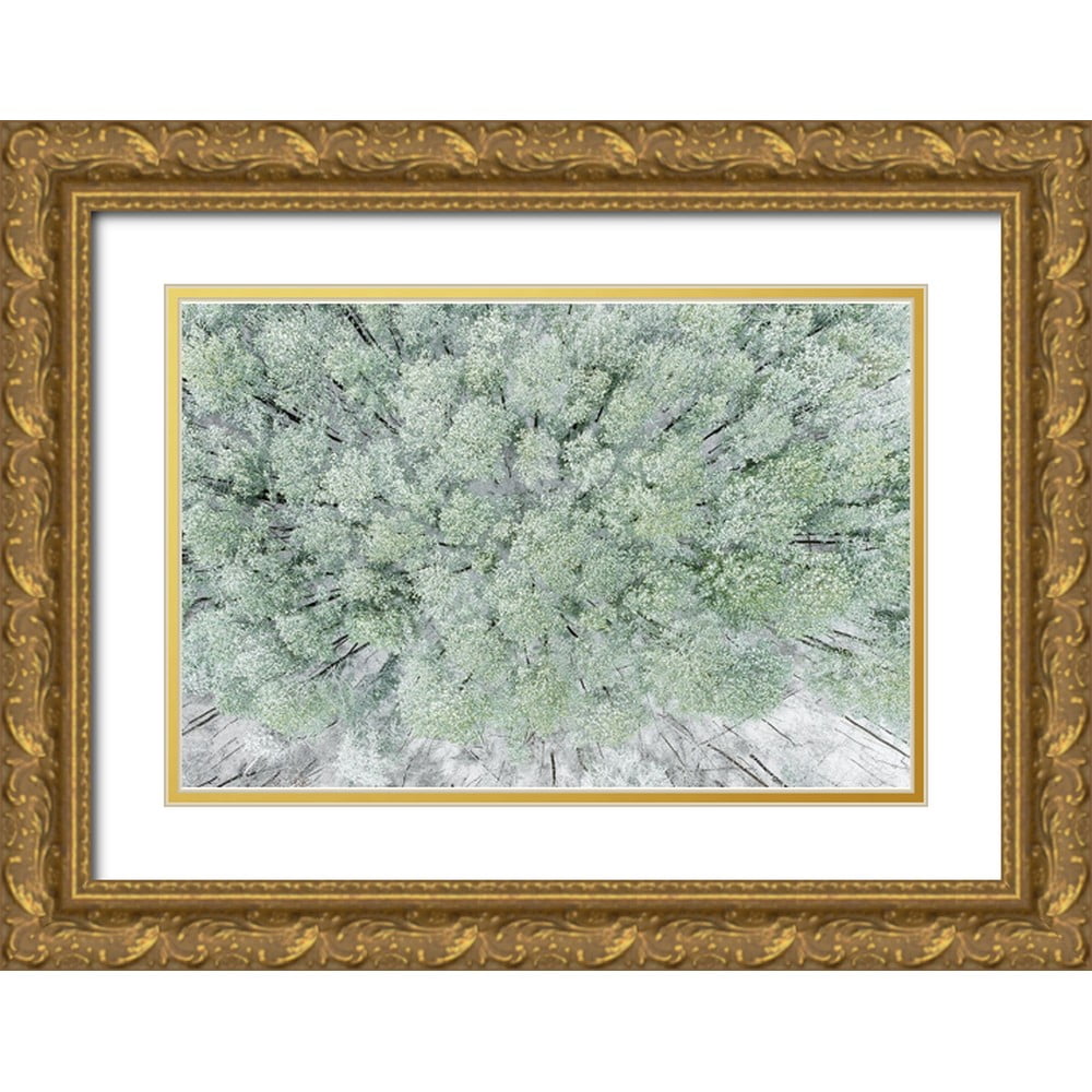 Day, Richard and Susan 14x11 Gold Ornate Wood Framed with Double ...
