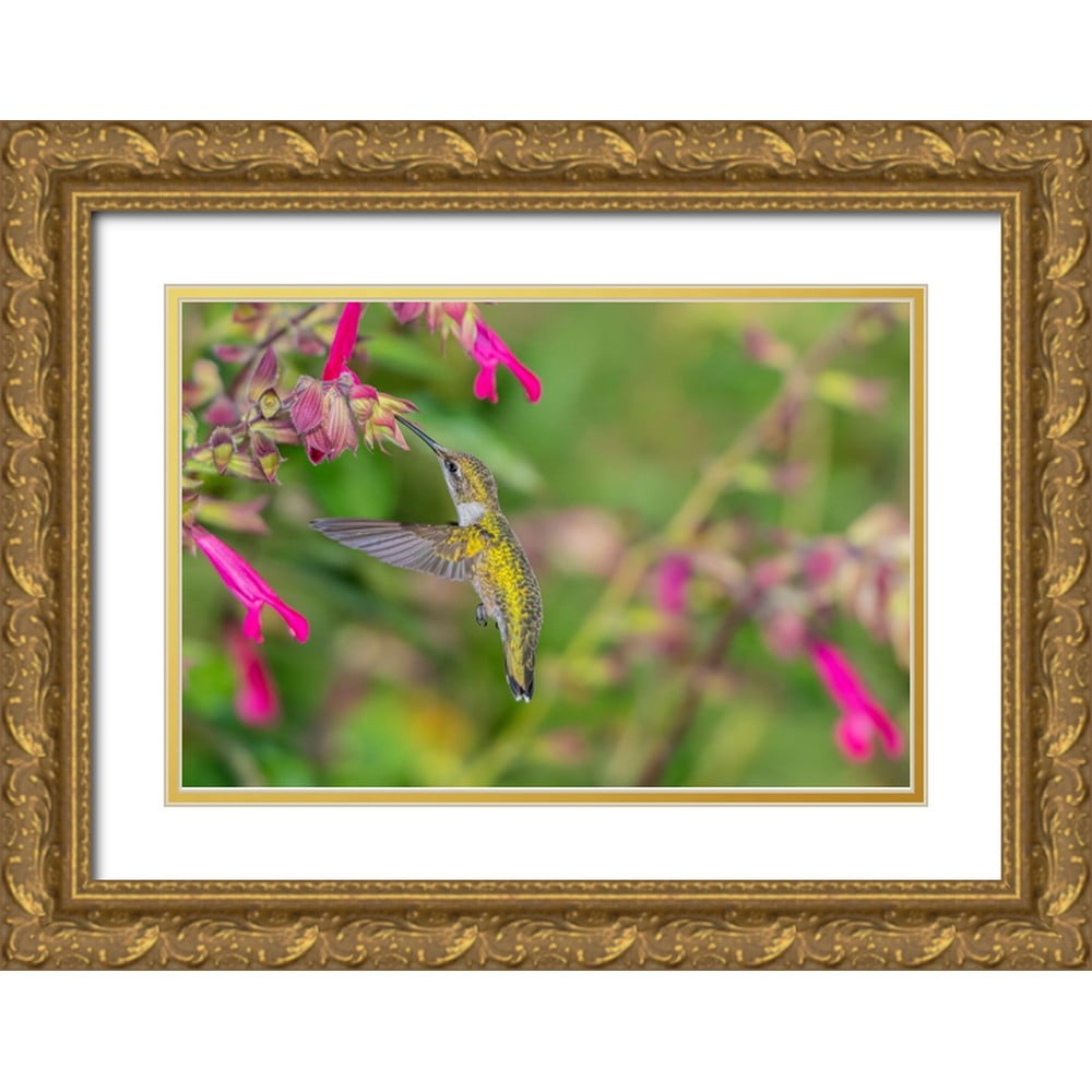 Day, Richard and Susan 14x11 Gold Ornate Wood Framed with Double ...