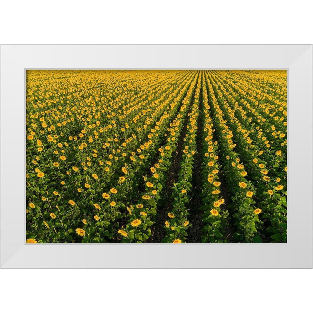 Day, Richard and Susan 14x11 White Modern Wood Framed Museum Art Print ...