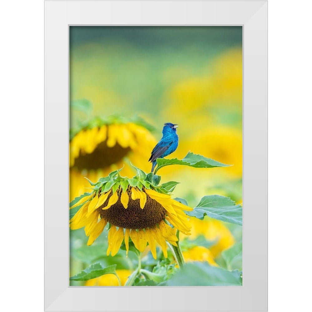 Day, Richard and Susan 17x24 White Modern Wood Framed Museum Art Print ...