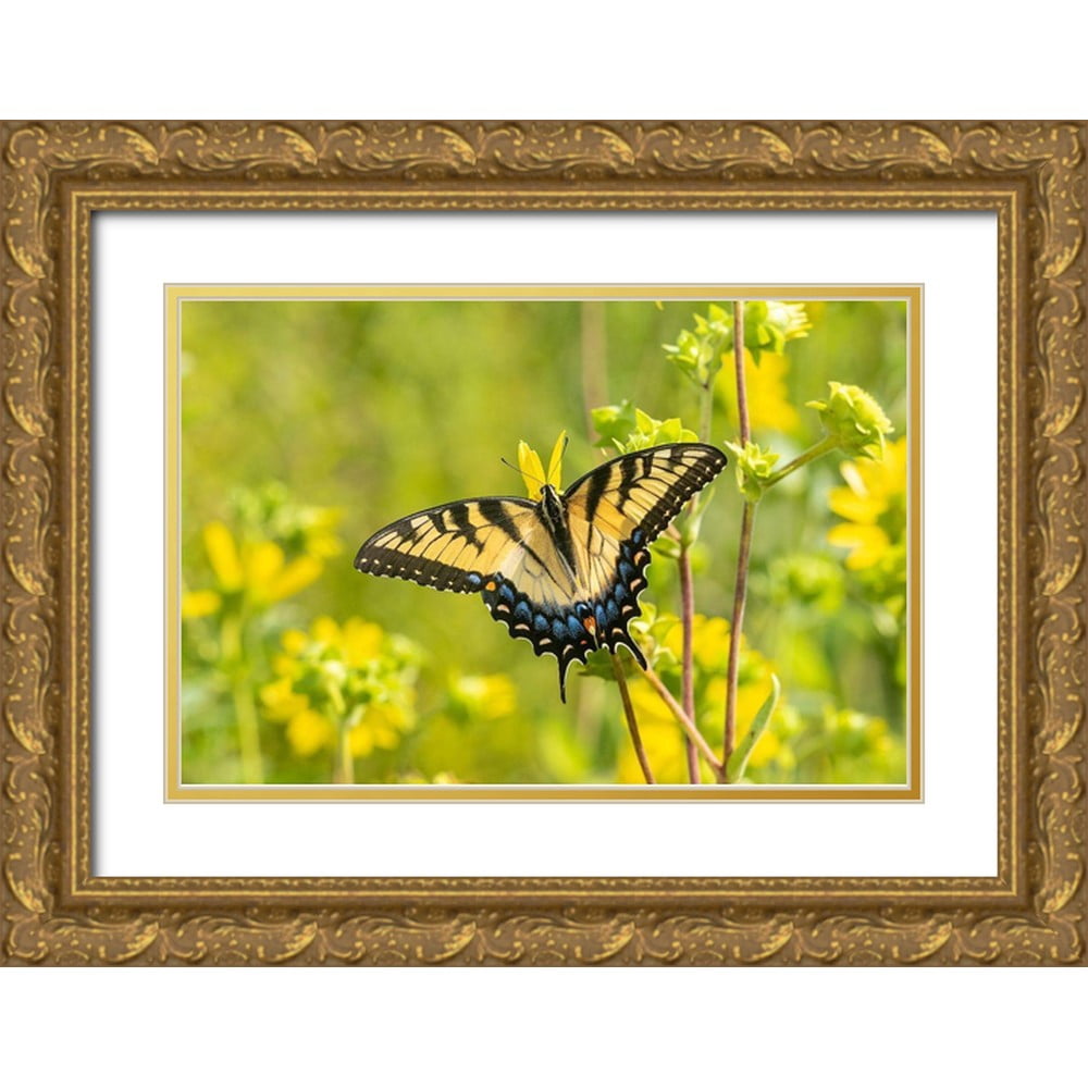 Day, Richard and Susan 18x13 Gold Ornate Wood Framed with Double ...