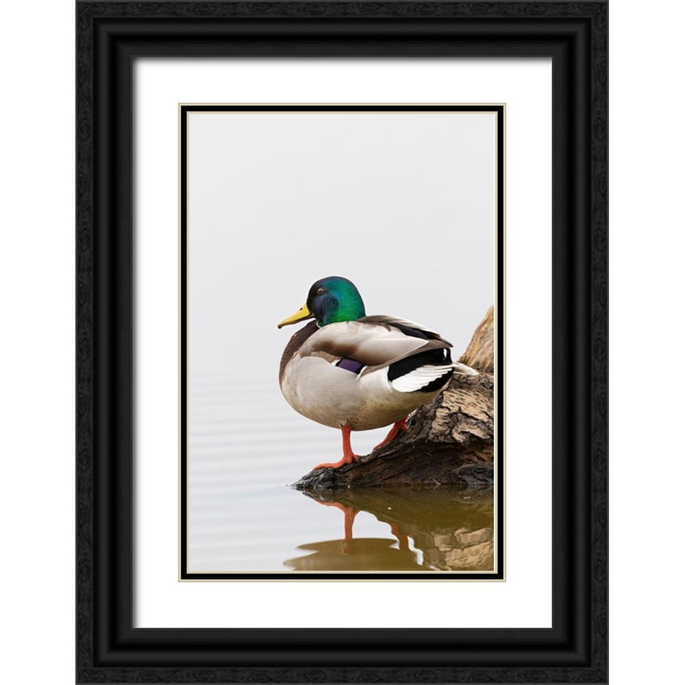 Day, Richard and Susan 23x32 Black Ornate Wood Framed with Double ...