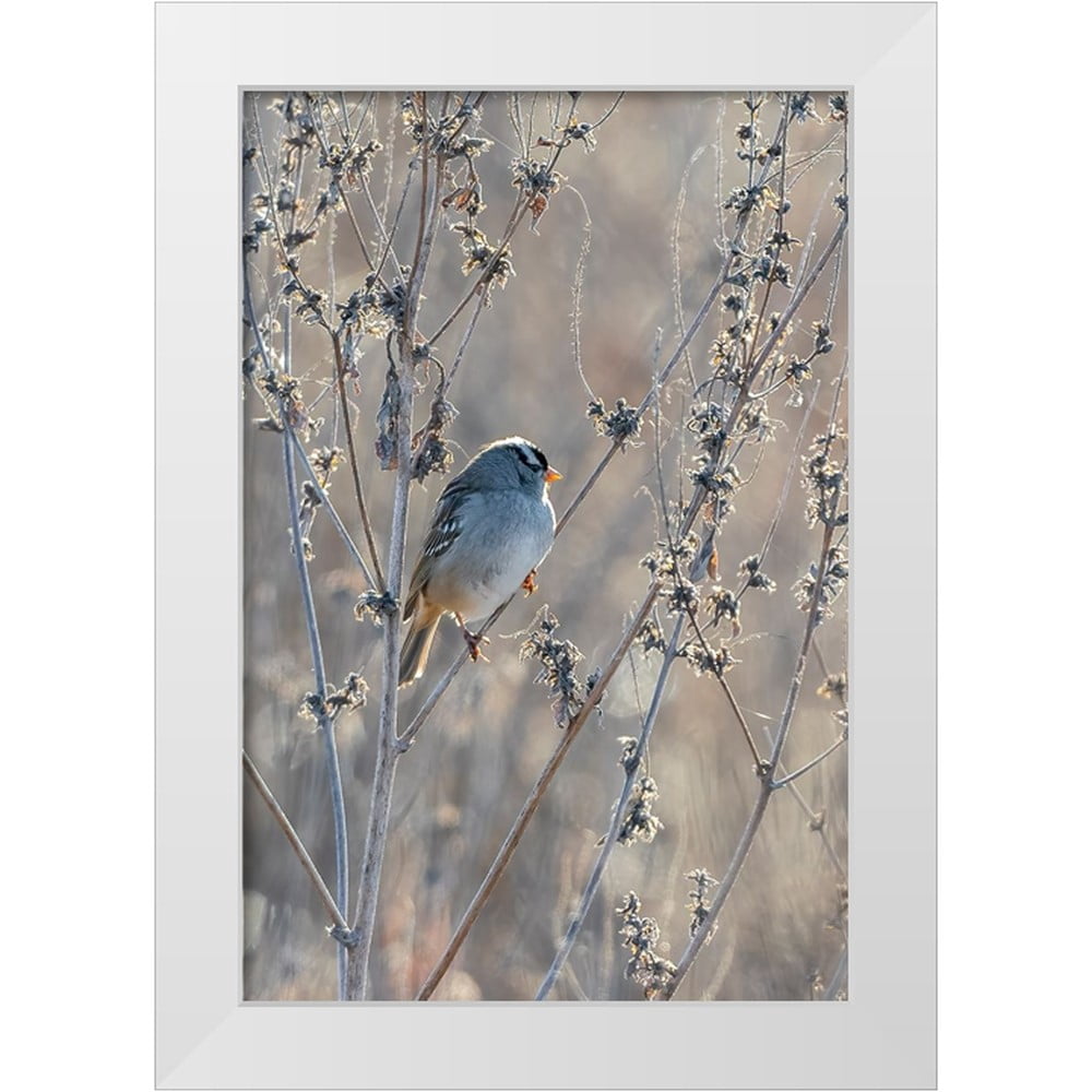 Day, Richard and Susan 23x32 White Modern Wood Framed Museum Art Print ...