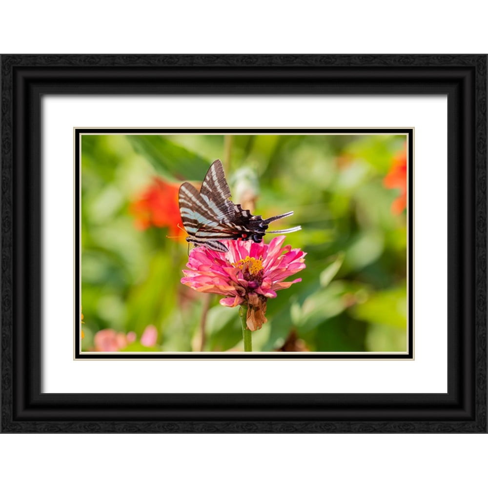 Day, Richard and Susan 24x17 Black Ornate Wood Framed with Double ...