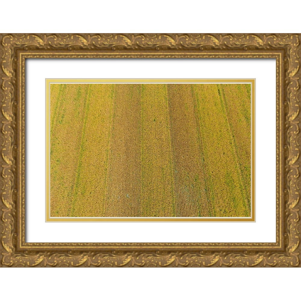 Day, Richard and Susan 32x23 Gold Ornate Wood Framed with Double ...