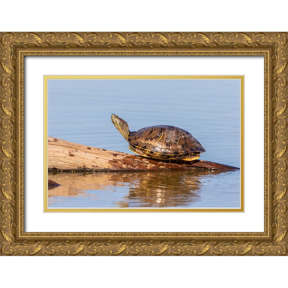 Day, Richard and Susan 32x23 Gold Ornate Wood Framed with Double ...