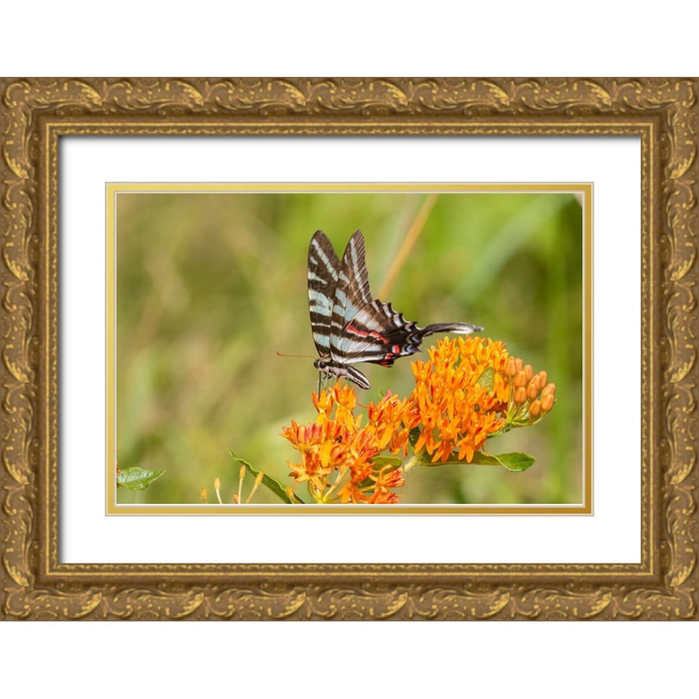 Day, Richard and Susan 32x23 Gold Ornate Wood Framed with Double Matting Museum Art Print Titled ...