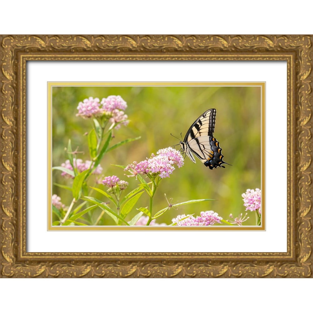 Day, Richard and Susan 14x11 Gold Ornate Wood Framed with Double ...