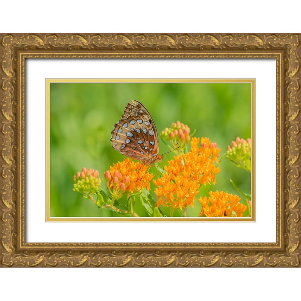 Day, Richard and Susan 14x11 Gold Ornate Wood Framed with Double ...