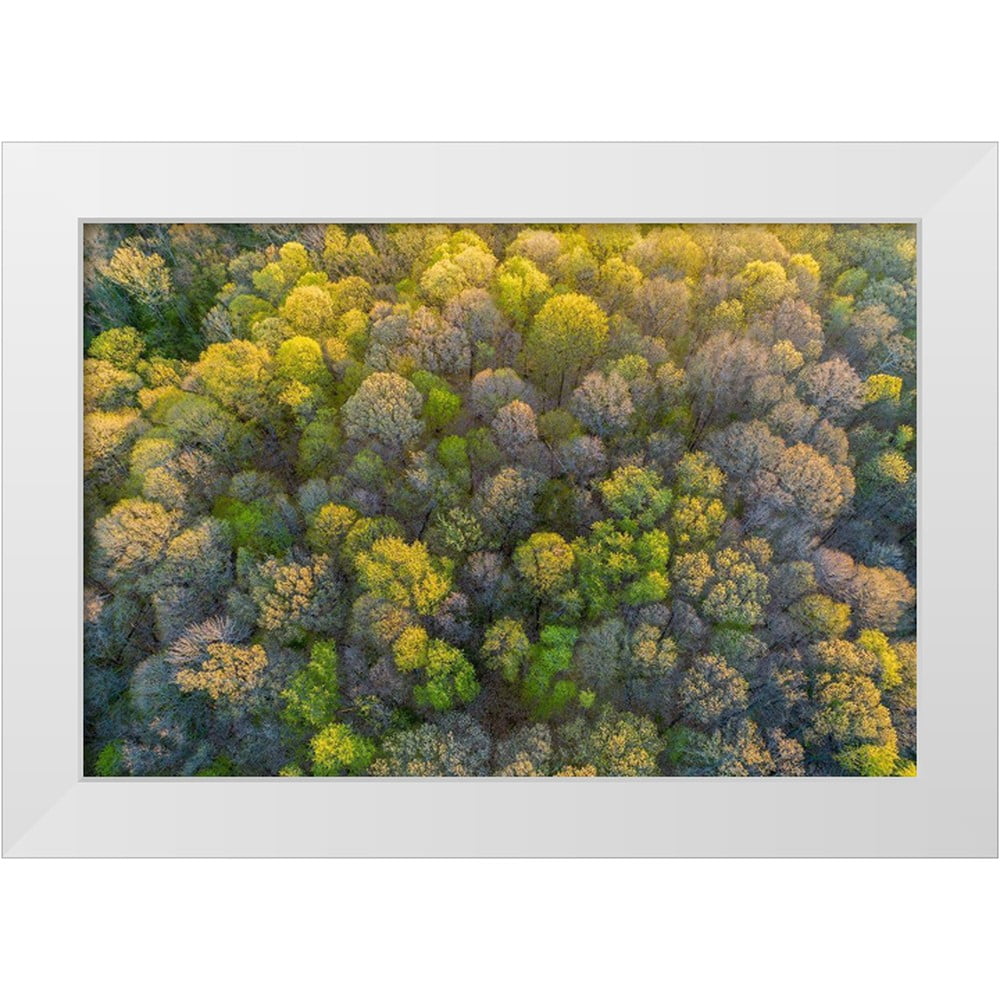 Day, Richard and Susan 14x11 White Modern Wood Framed Museum Art Print ...