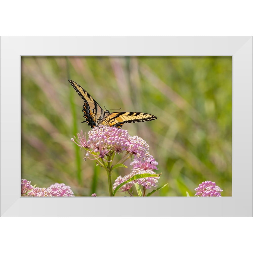 Day, Richard and Susan 14x11 White Modern Wood Framed Museum Art Print ...