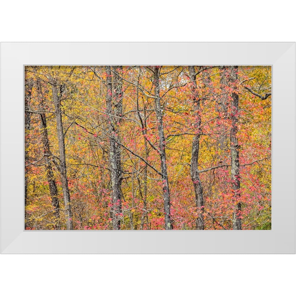 Day, Richard and Susan 14x11 White Modern Wood Framed Museum Art Print ...