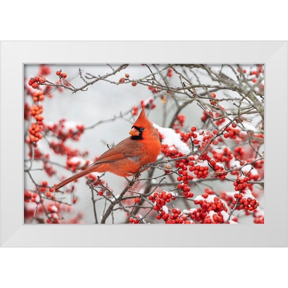 Day, Richard and Susan 14x11 White Modern Wood Framed Museum Art Print ...