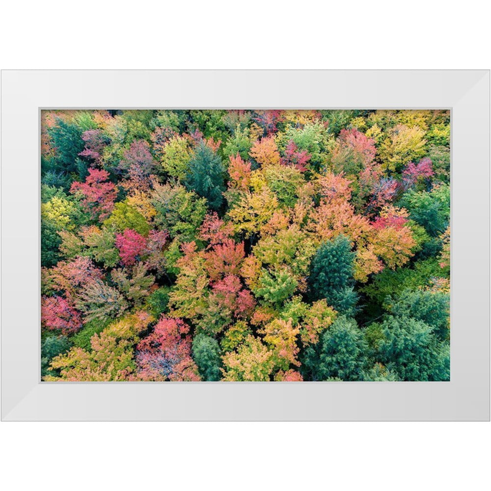 Day, Richard and Susan 18x13 White Modern Wood Framed Museum Art Print ...