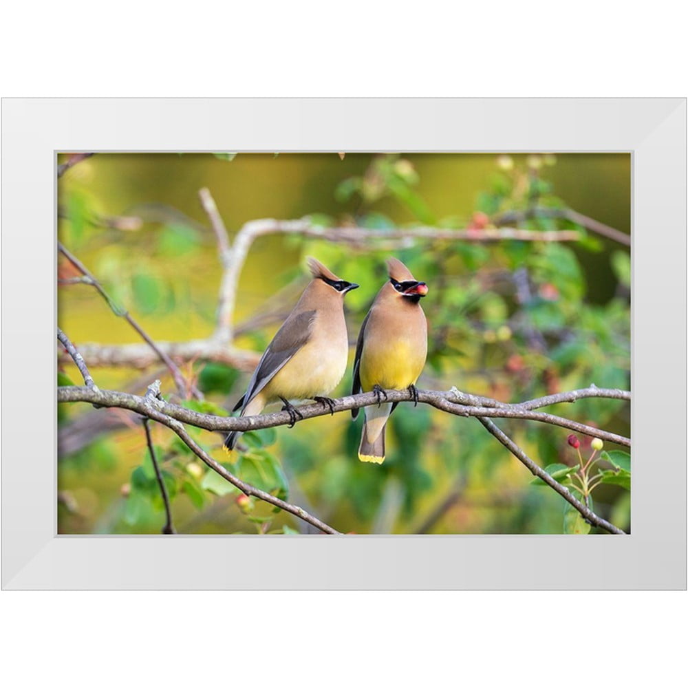 Day, Richard and Susan 18x13 White Modern Wood Framed Museum Art Print ...