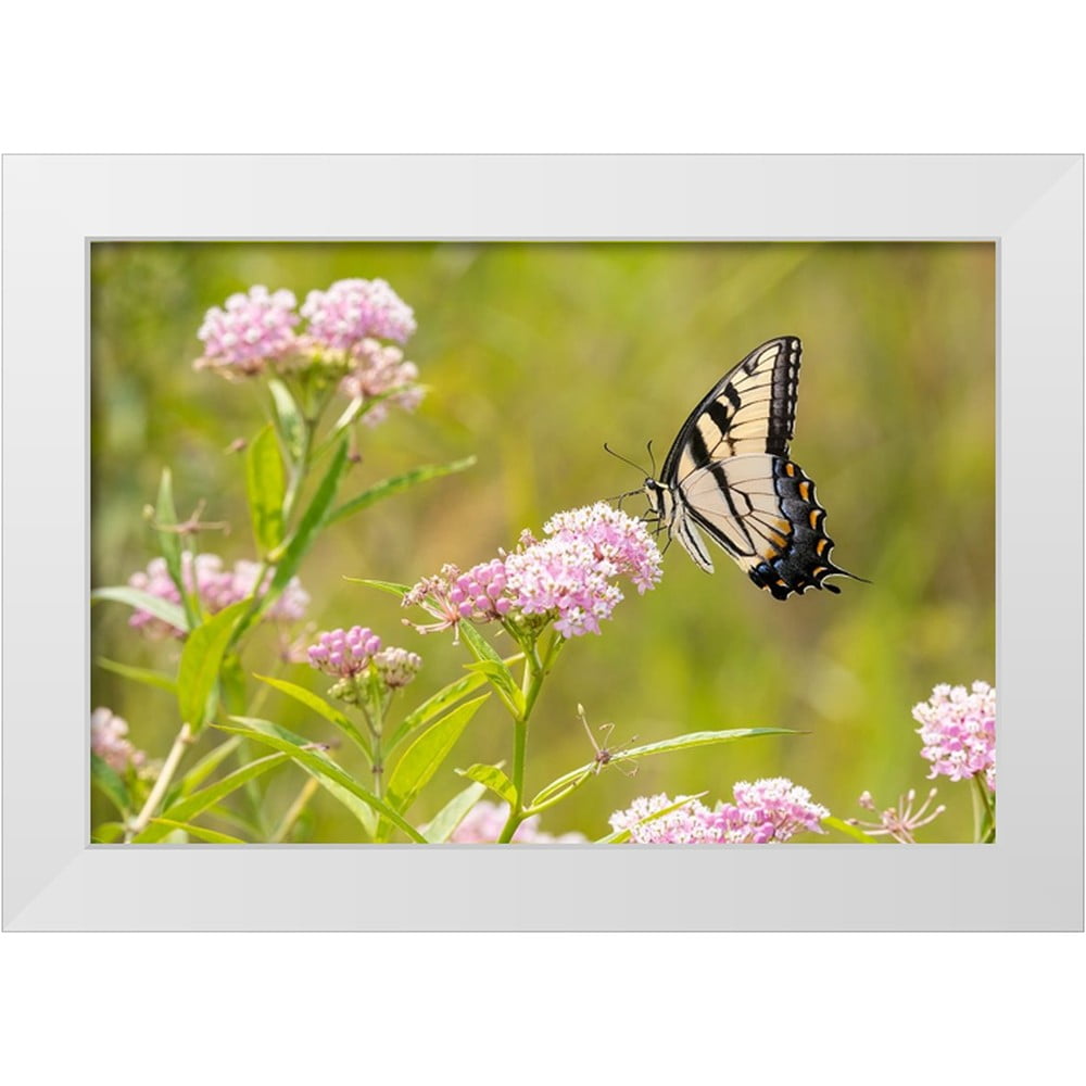 Day, Richard and Susan 18x13 White Modern Wood Framed Museum Art Print ...