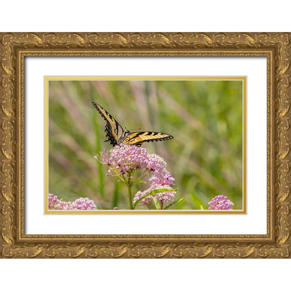 Day, Richard and Susan 24x17 Gold Ornate Wood Framed with Double ...