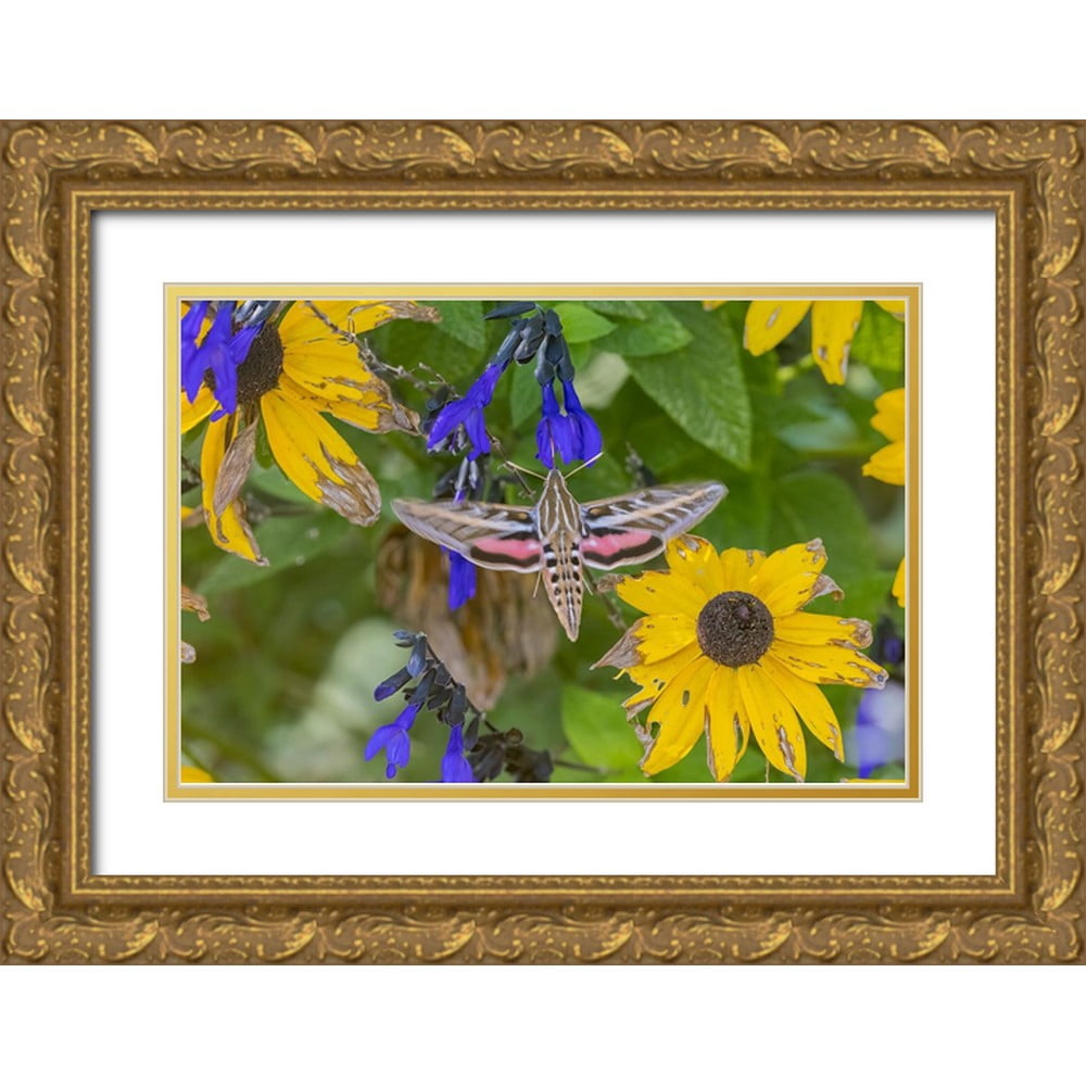 Day, Richard and Susan 24x17 Gold Ornate Wood Framed with Double ...