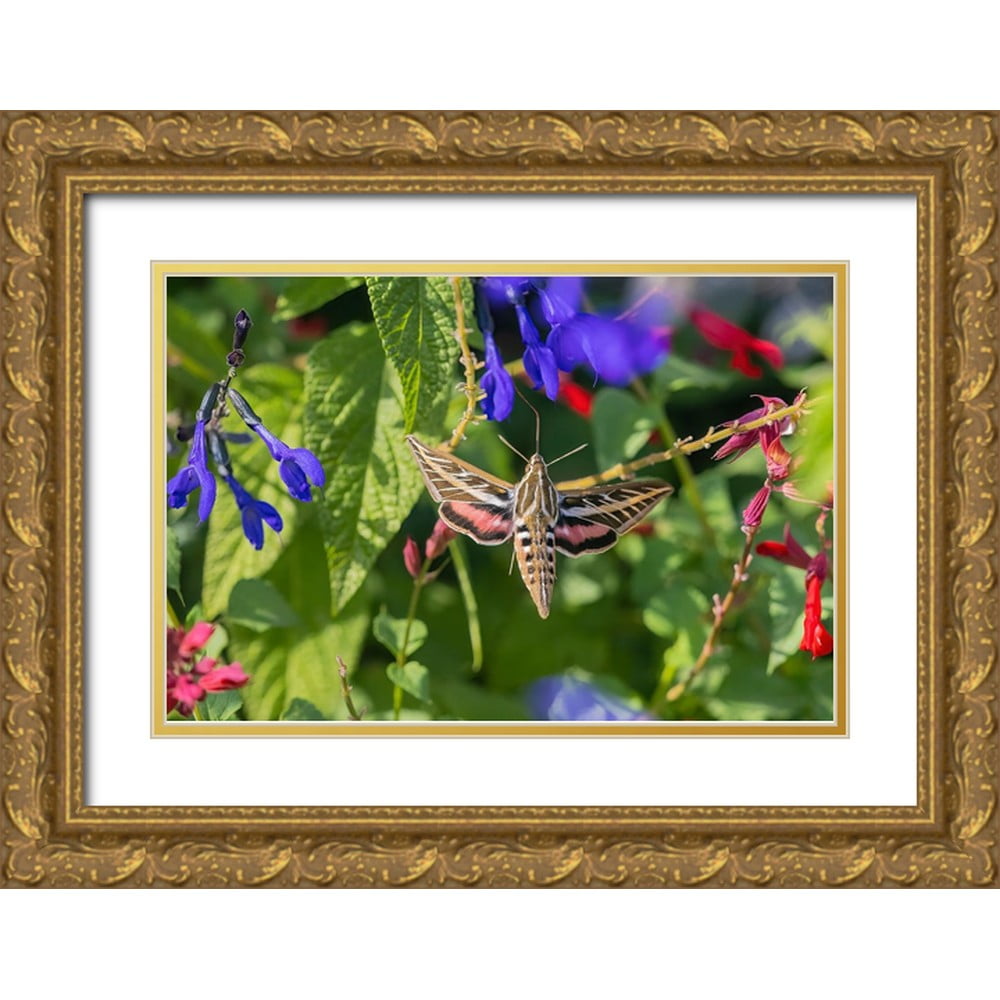 Day, Richard and Susan 24x17 Gold Ornate Wood Framed with Double ...