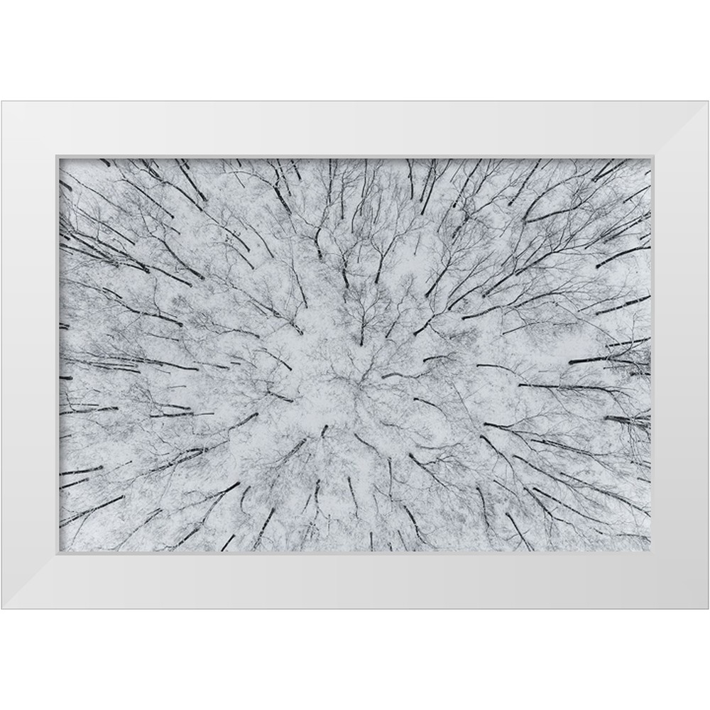 Day, Richard and Susan 24x17 White Modern Wood Framed Museum Art Print ...