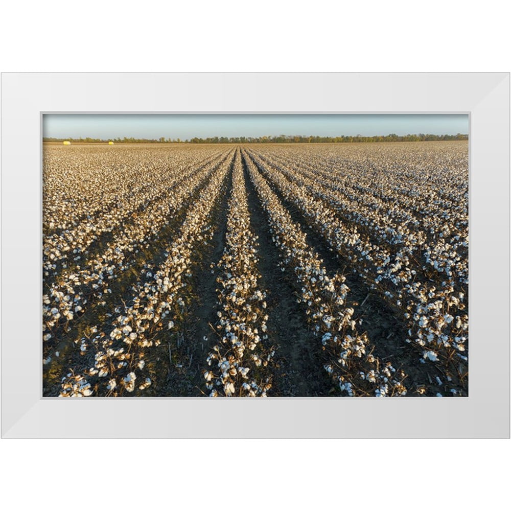 Day, Richard and Susan 24x17 White Modern Wood Framed Museum Art Print ...