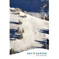Day Surfer Login Organizer (fresh Tracks On The Mountain) - Walmart.com