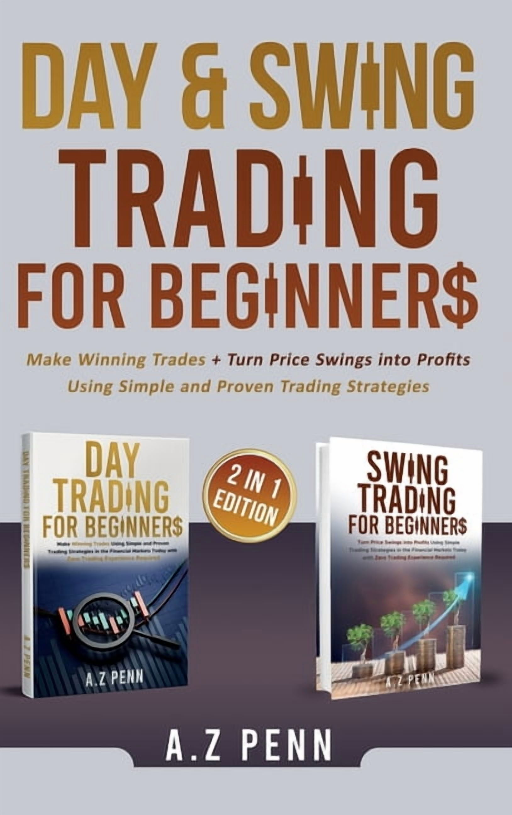 Day & Swing Trading for Beginners: Make Winning Trades + Turn Price ...