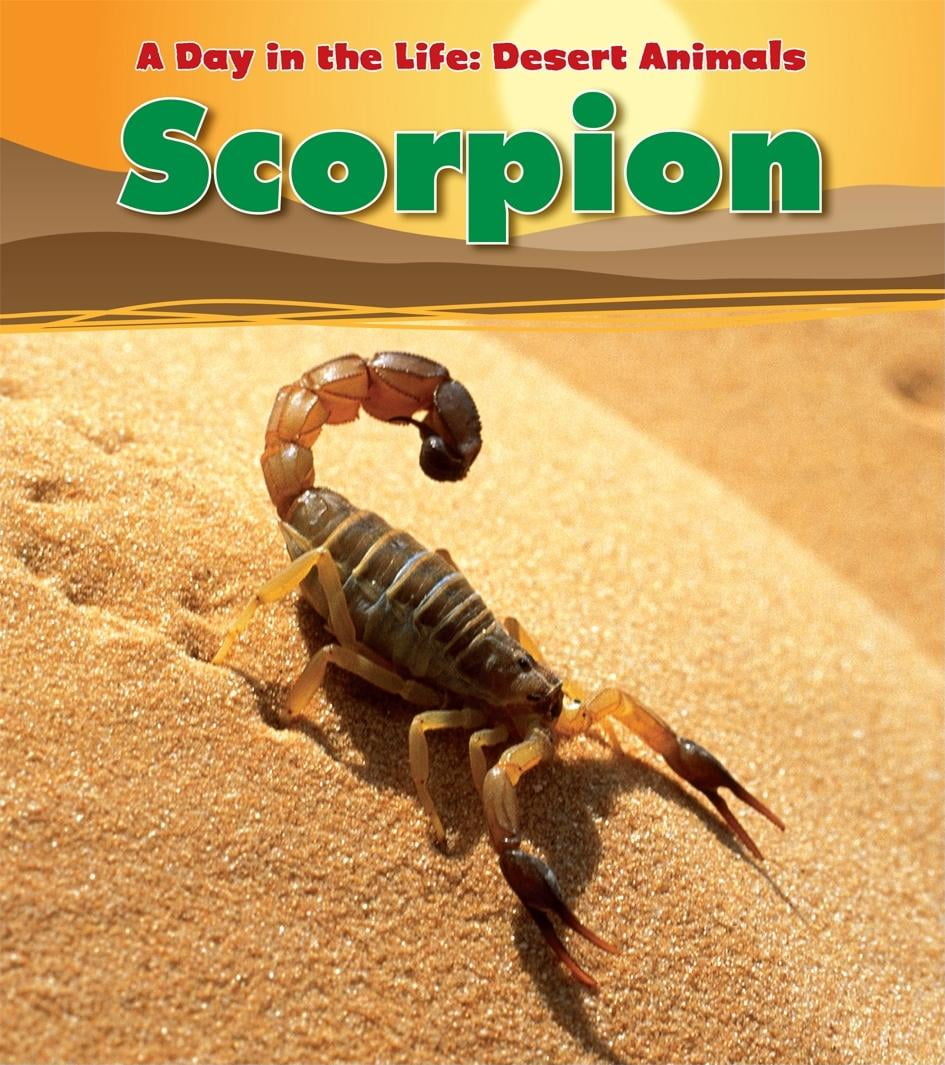 Day in the Life: Desert Animals (Paperback): Scorpion (Paperback ...
