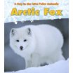 Elementary Explorers: Arctic Foxes (Paperback) - Walmart.com