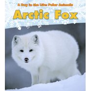 Elementary Explorers: Arctic Foxes (Paperback) - Walmart.com