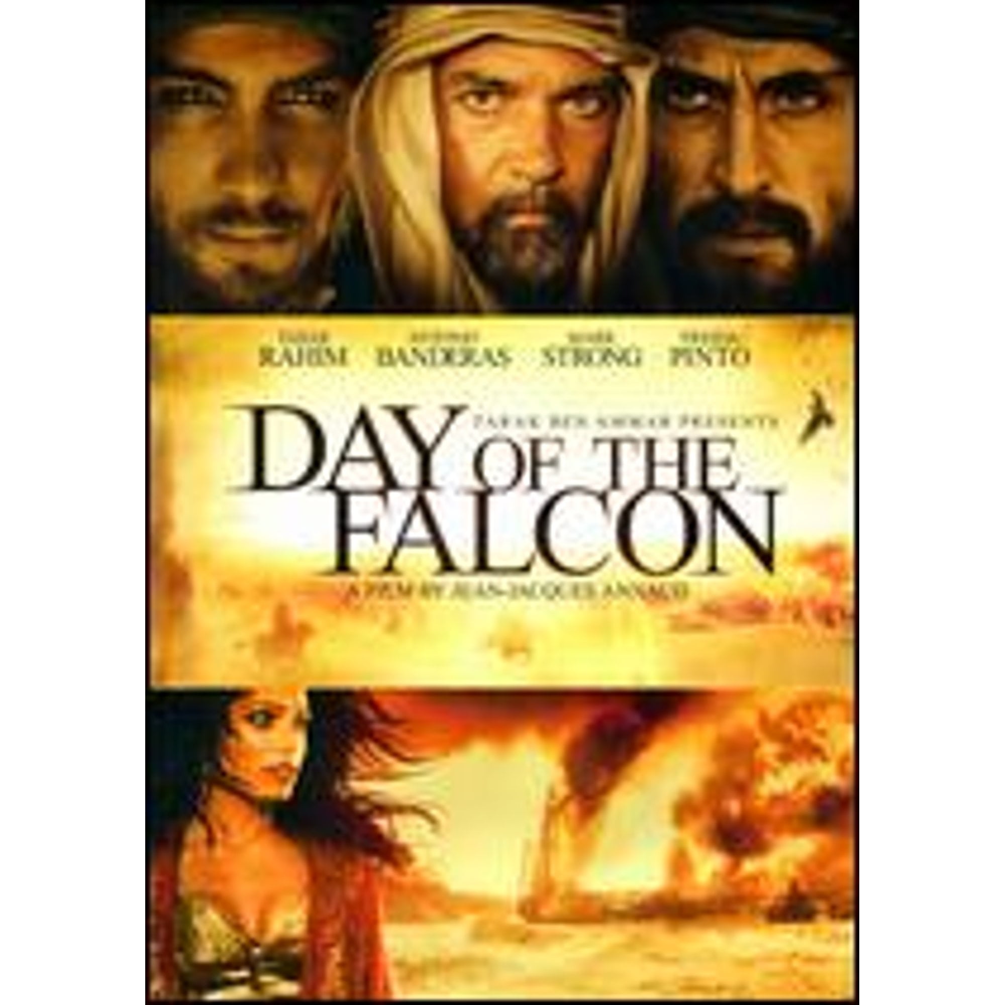 Pre-Owned Day of the Falcon (DVD 0014381843323) directed by Jean ...