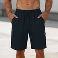 DayScoop Plus Size Shorts for Men Big Tall Bottoms Summer Dry Button ...