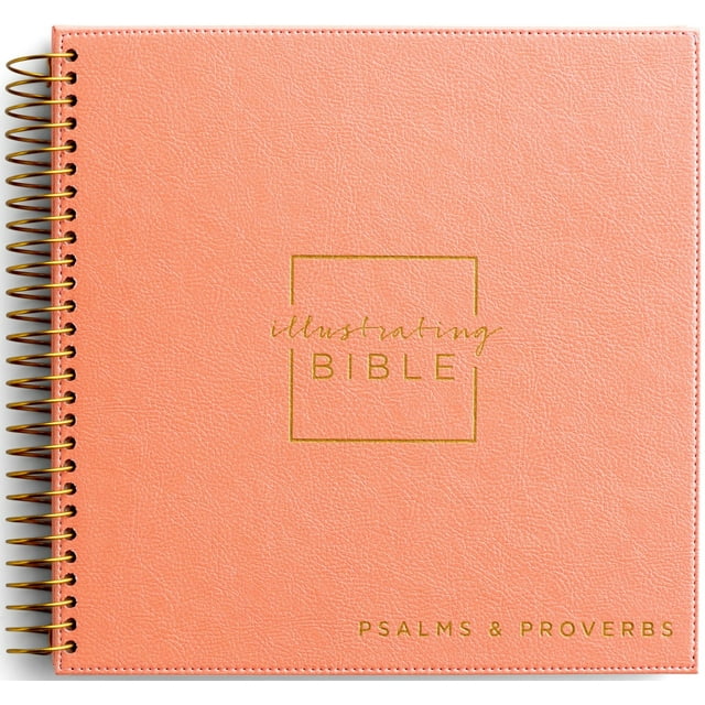 DaySpring NIV Illustrating Bible - Psalms & Proverbs, Spiral Journal ...