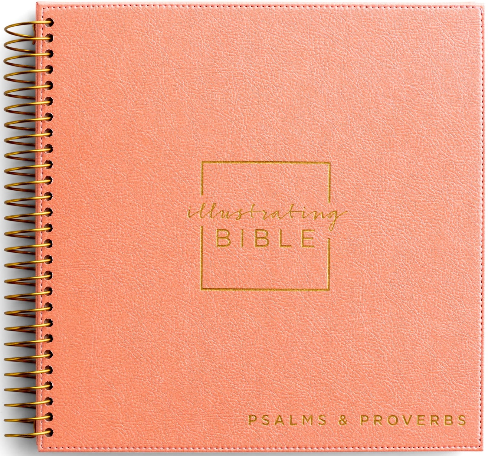 DaySpring NIV Illustrating Bible - Psalms & Proverbs, Spiral Journal ...