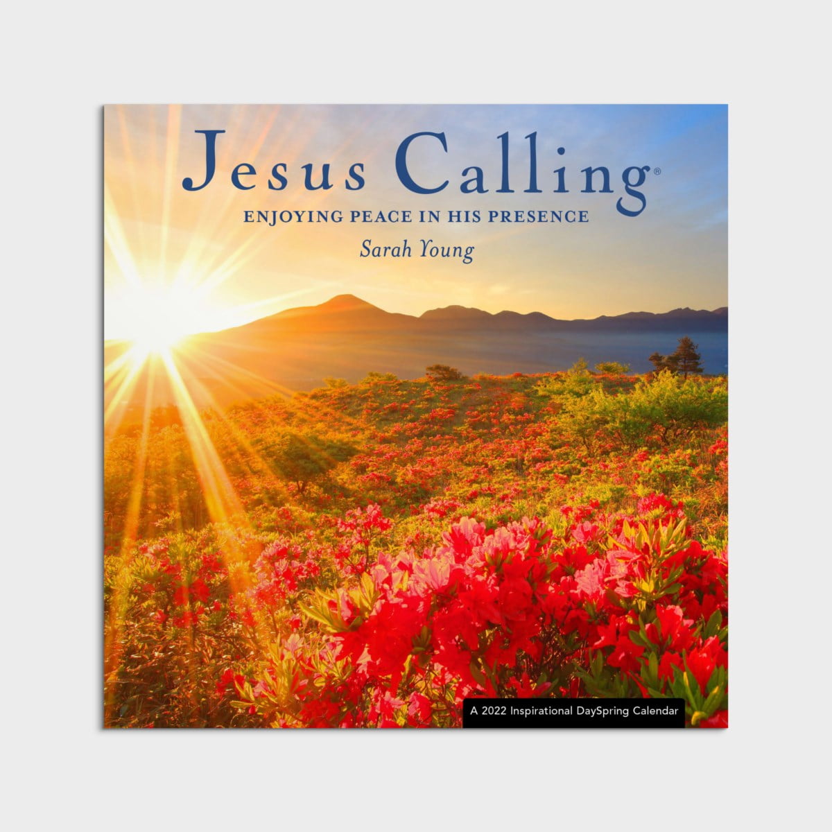 Jesus Calling: A 2022 Inspirational DaySpring Wall Calendar - Walmart.com