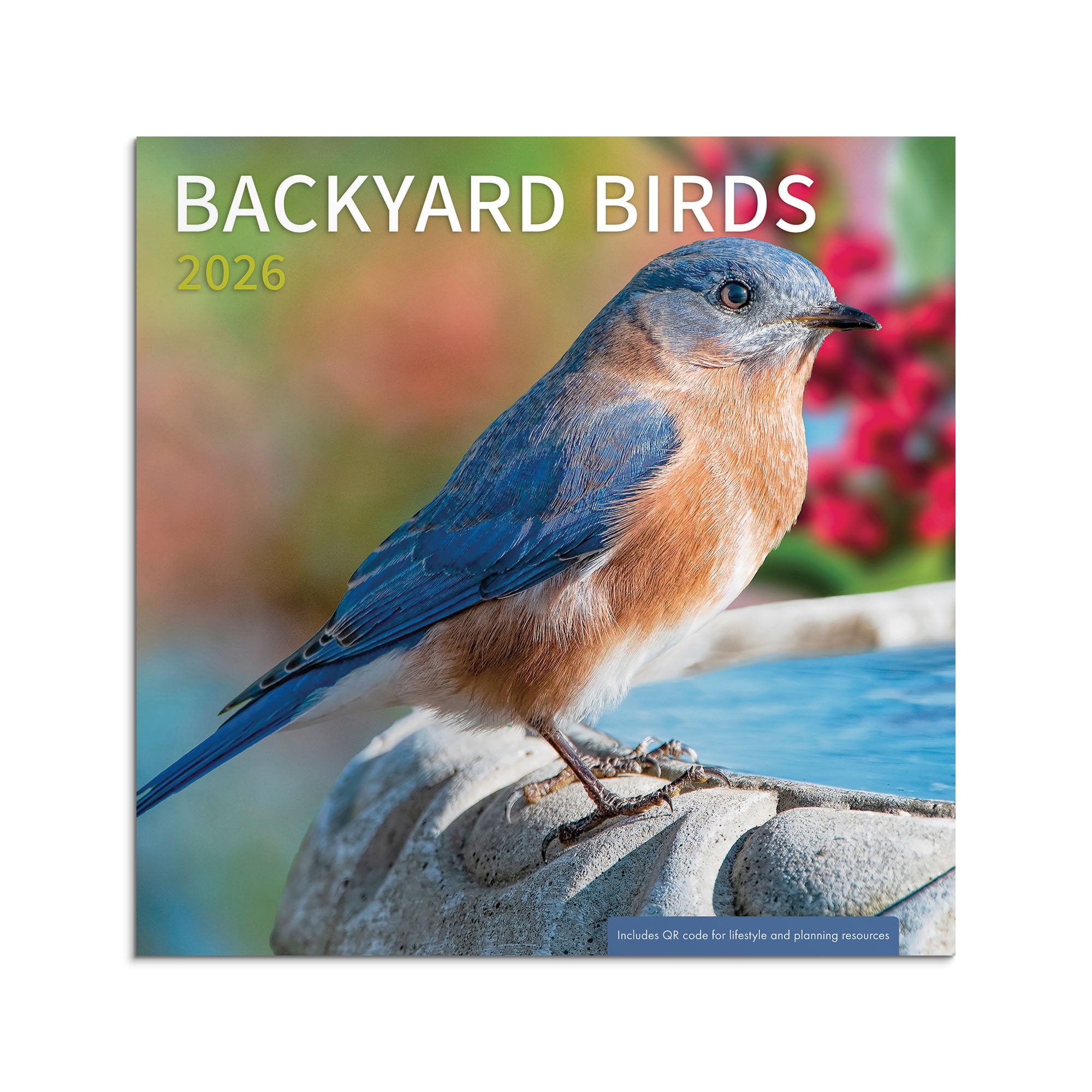 DaySpring Monthly Calendar (12"x12") Backyard Birds 12 Month Jan 2026 ...