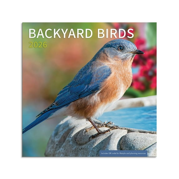 DaySpring Monthly Calendar (12"x12") Backyard Birds 12 Month Jan 2026 ...
