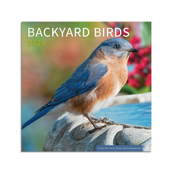 DaySpring Calendars in Calendars and Planners - Walmart.com