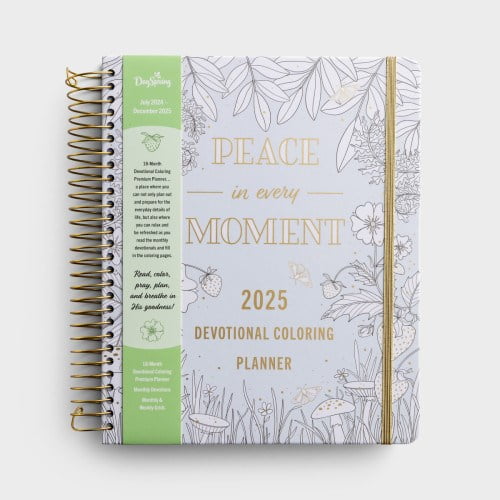 DaySpring Peace in Every Moment - 2024 - 2025 18-Month Devotional ...