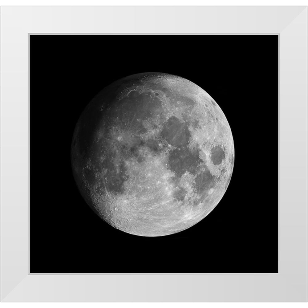 Dayag, David 15x15 White Modern Wood Framed Museum Art Print Titled ...