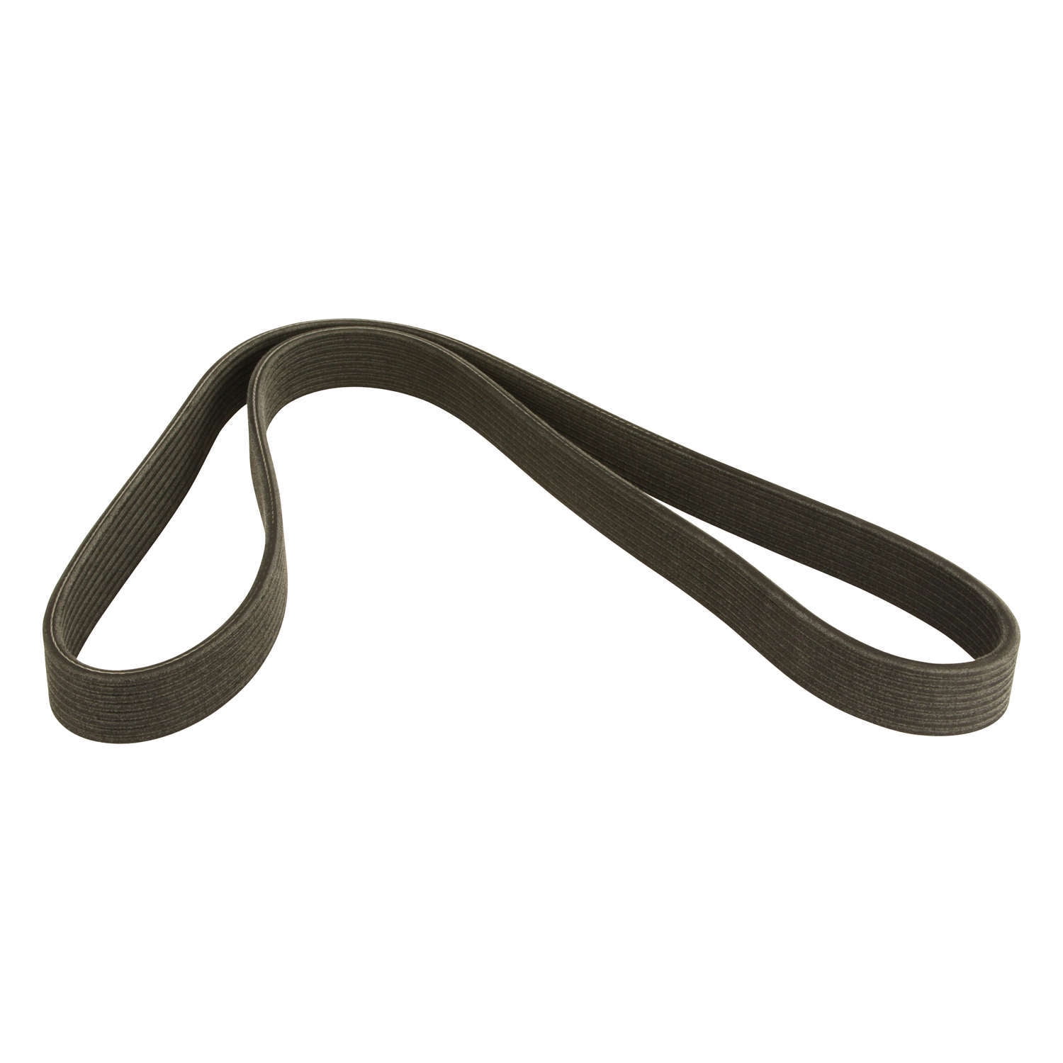 Dayco Poly Rib Belt Sepentine Belt Drive Belt, Dual Sided - Walmart.com