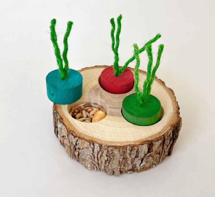 Dayesque 1 Set Multi-Functional Pet Gerbil Toys Foraging Box Durable ...