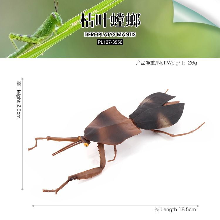 Dayesque Dead Leaf Mantis Toy Model Educational Insect Figurine ...