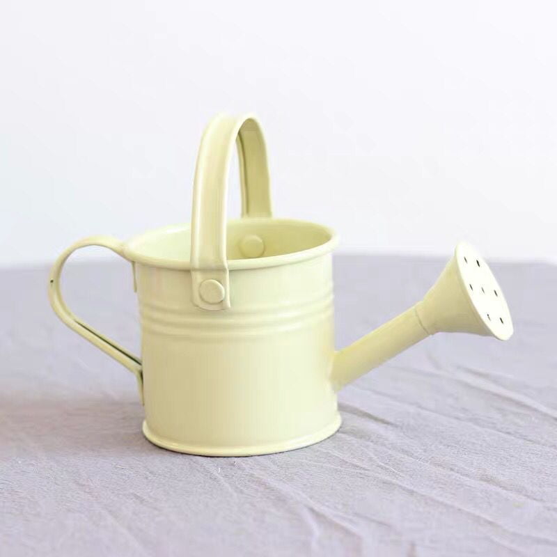Dayesque Miniature Watering Can for Succulent Planter Pots Small Indoor ...