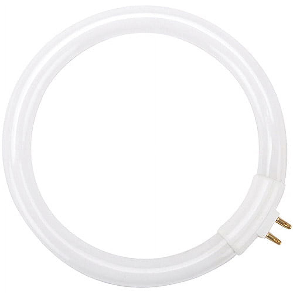 Daylight Company Naturalight Fluorescent Tube, 12W Circular, 6500K ...