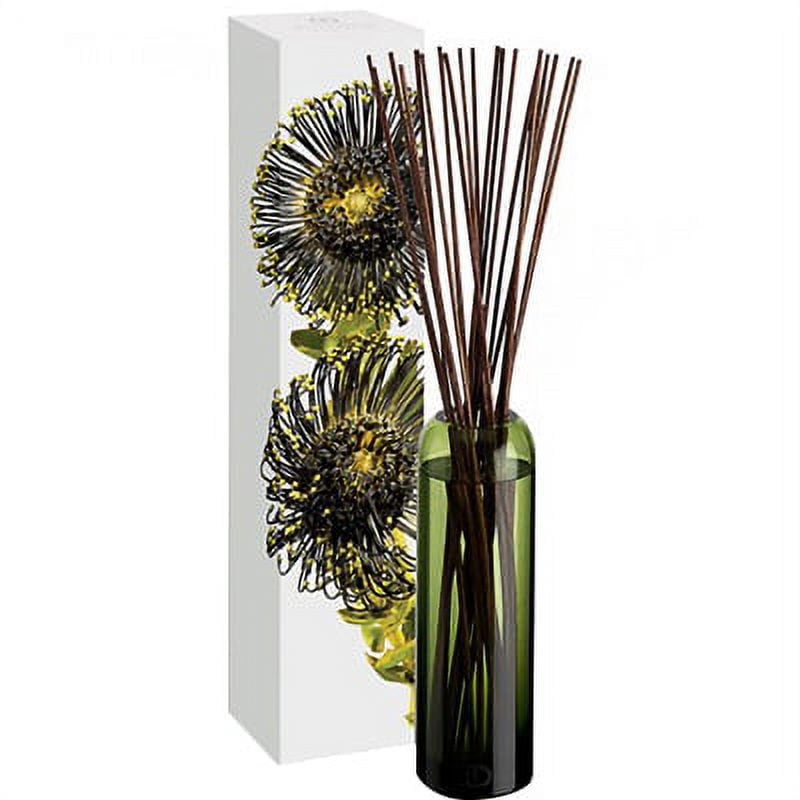 Dayna Decker Botanika Tiaga Petite Diffuser 16oz - Walmart.com