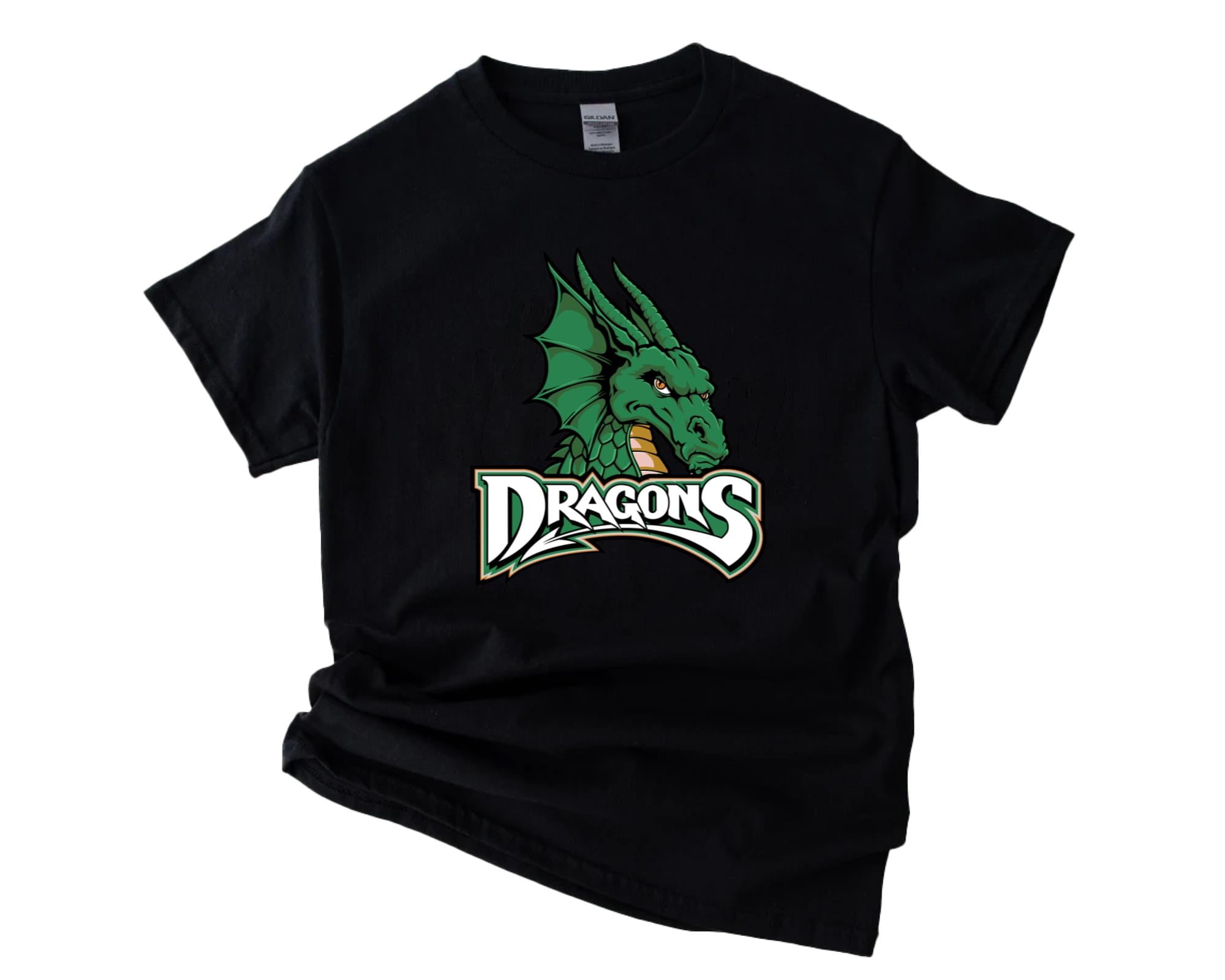 Dayton Dragons Minor League Baseball Team Logo Fan Gift Merch Sport Art ...